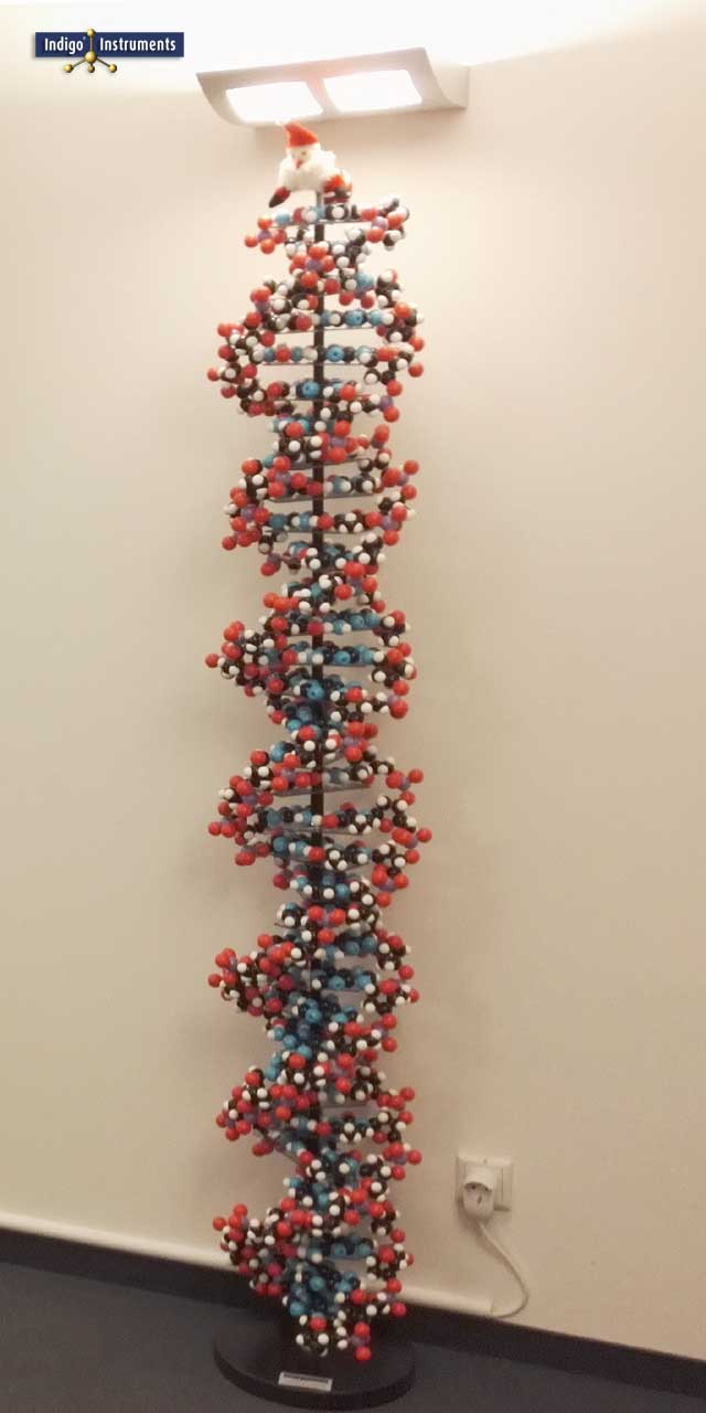 Happy Winter Solstice: DNA Model "Xmas" Tree - Indigo Instruments