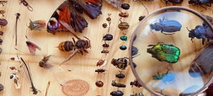 Test page - Indigo Instruments